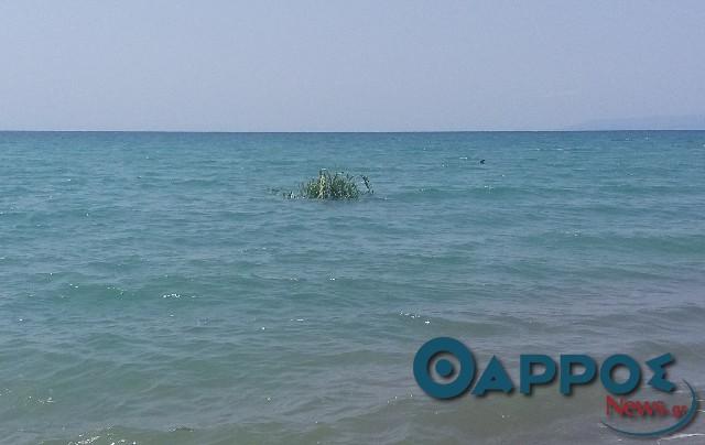 Ένα “νησί” δημιούργησε η νεροποντή στην παραλία της Καλαμάτας (φωτο ...