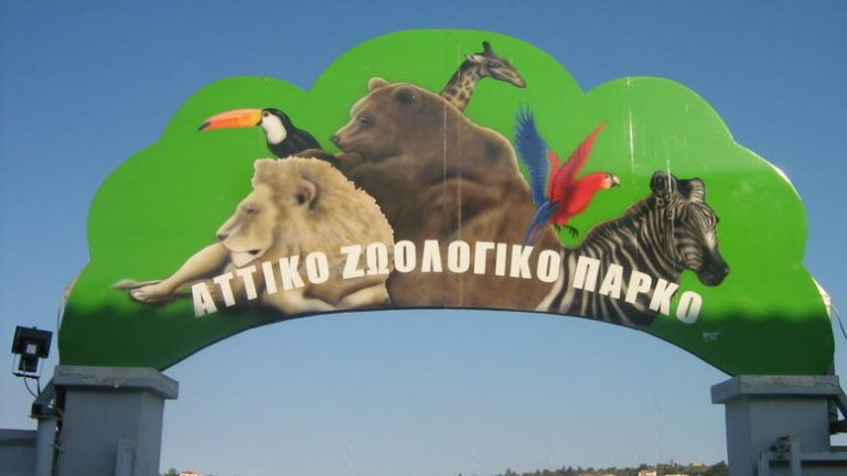 ΑΤΤΙΚΟ ΖΩΟΛΟΓΙΚΟ ΠΑΡΚΟ Archives - Aftodioikisi.gr