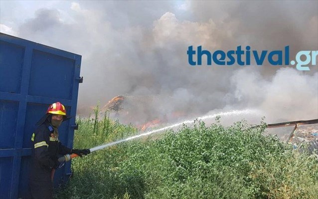 Θεσσαλονίκη: Δασική πυρκαγιά στο Πανόραμα - Aftodioikisi.gr