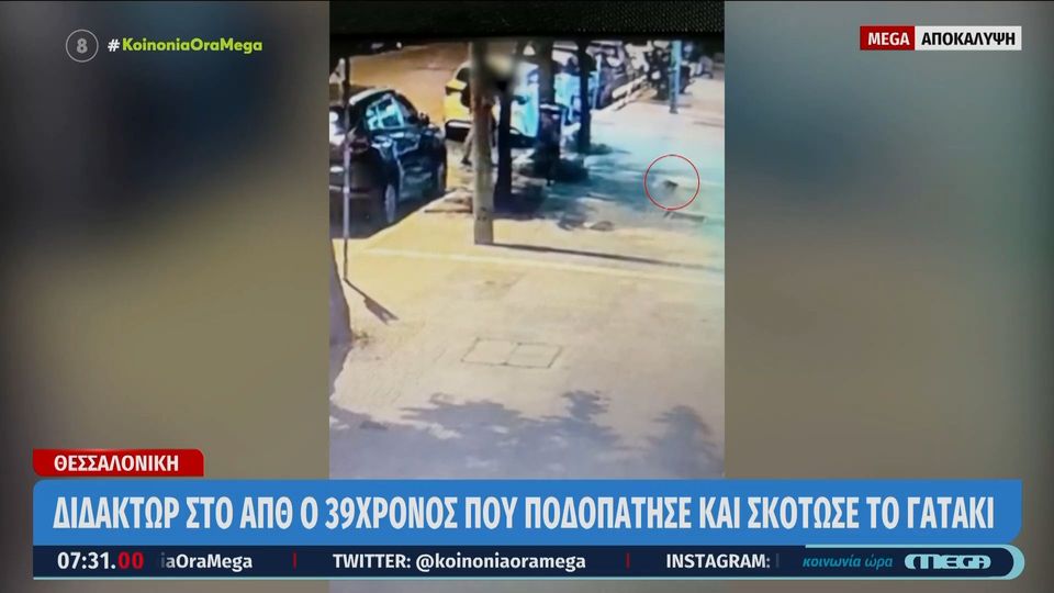 Διδάκτωρ στο ΑΠΘ ο 39χρονος που έλιωσε το γατάκι - Aftodioikisi.gr