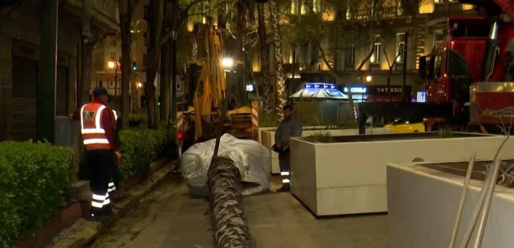 PATRINAKI: ΔΗΜΟΣ ΑΘΗΝΑΙΩΝ : ΜΕ ΑΝΕΜΟΓΕΝΝΗΤΡΙΕΣ ΣΤΗ ΘΕΣΗ ΤΩΝ ΦΟΙΝΙΚΩΝ ΘΑ ...