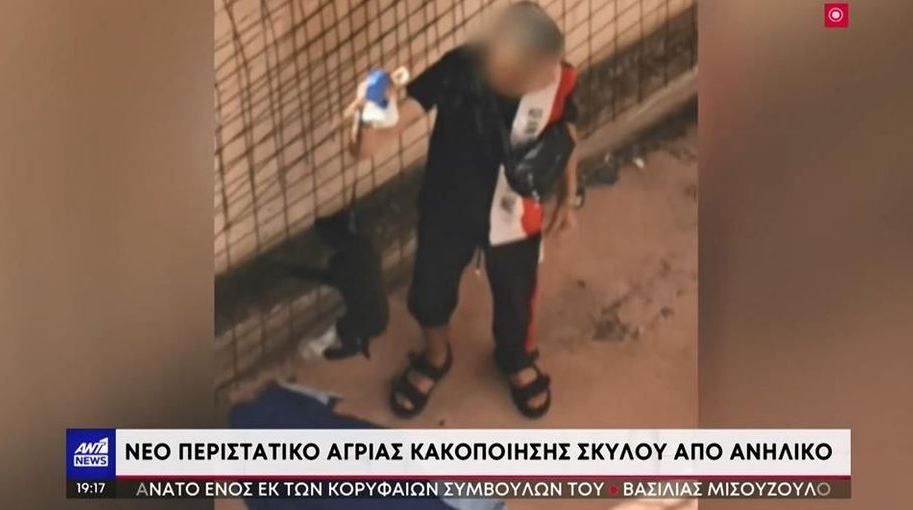 Φρίκη: Νέο περιστατικό άγριας κακοποίησης ζώου από ανήλικο ...