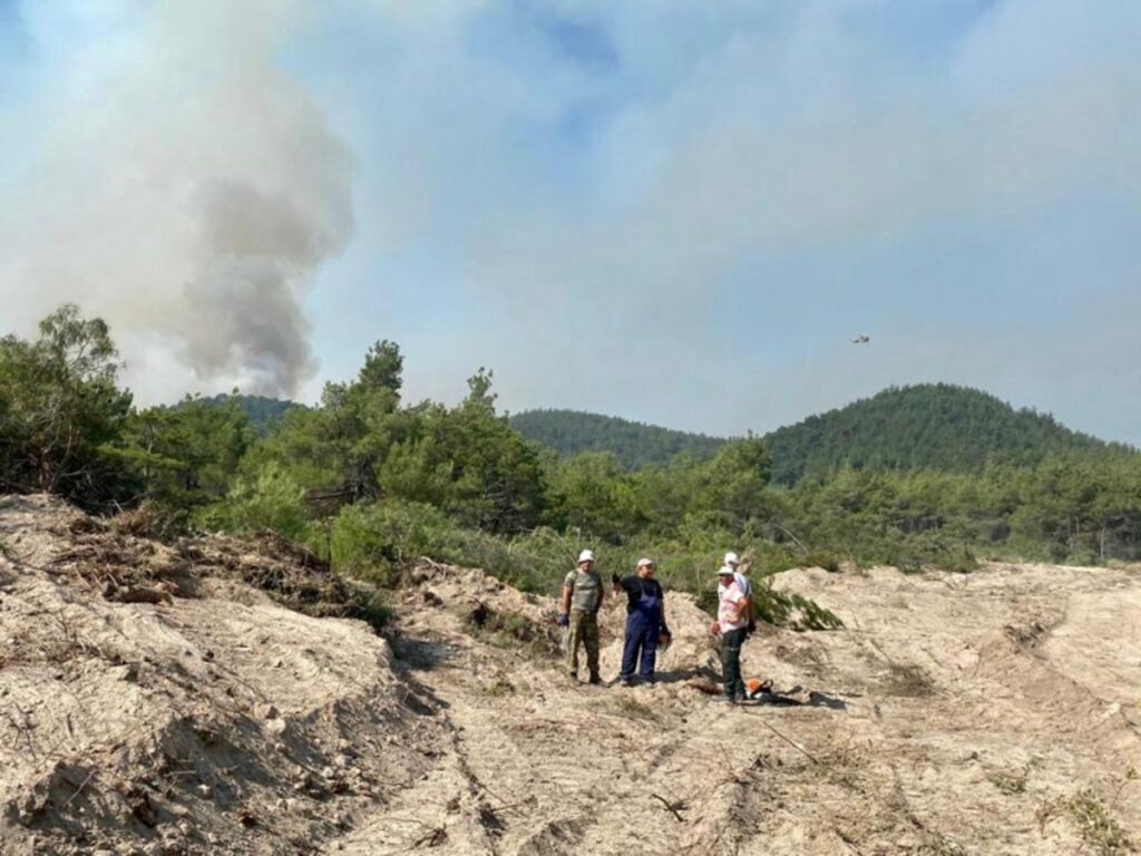 Δαδιά: Εικόνες-σοκ από το πριν και το μετά της καταστροφικής πυρκαγιάς ...