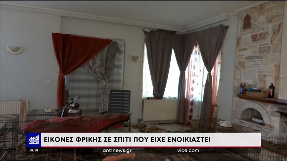 Εικόνες φρίκης σε σπίτι που είχε ενοικιαστεί - Aftodioikisi.gr