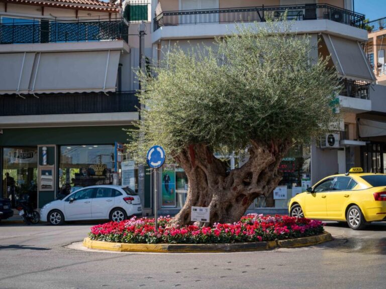 Δήμος Ιλίου: Στο χρηματοδοτικό πρόγραμμα του Πράσινου Ταμείου η ...