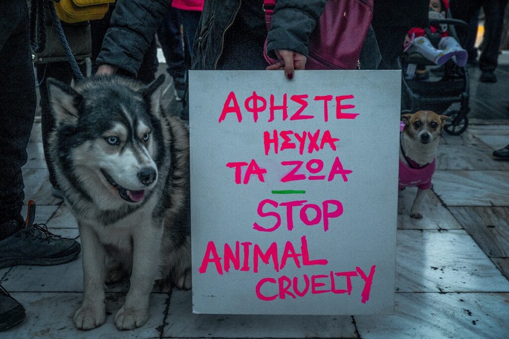 «Να συλληφθούν οι δράστες»: Συγκέντρωση διαμαρτυρίας στο Σύνταγμα για ...