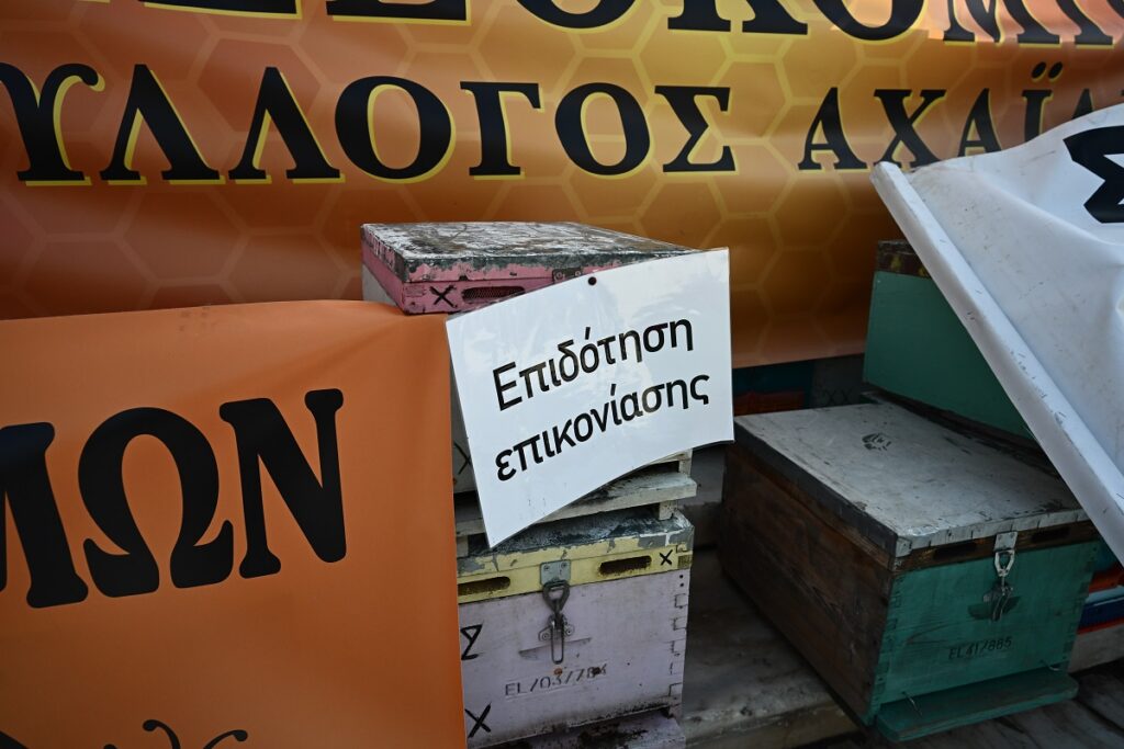 Στο Σύνταγμα οι μελισσοκόμοι-Έκλεισαν την Λ. Αμαλίας (φωτο ...
