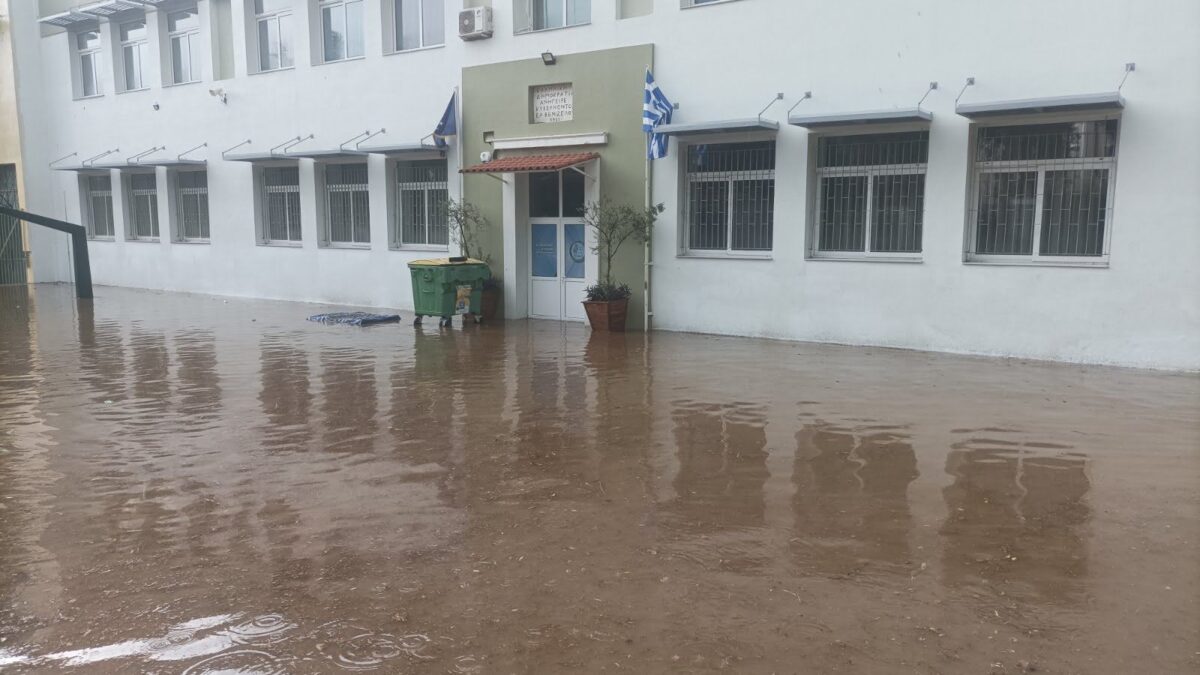 Δήμος Αλεξάνδρειας: Προσλήψεις 75 ατόμων σε σχολεία του δήμου ...