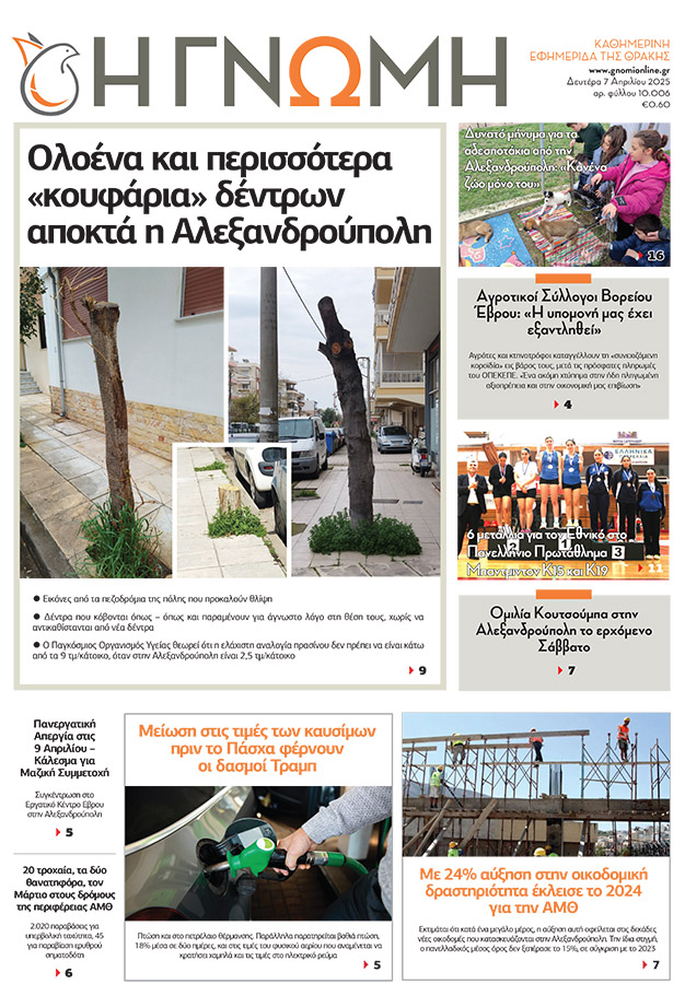 Αλεξανδρούπολη: "Κουφάρια" δέντρων στην πόλη - Aftodioikisi.gr Δήμοι