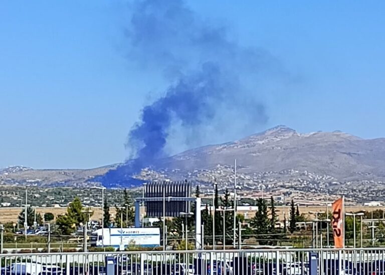 Φωτιά στο μουσικό σχολείο της Παλλήνης (φωτό) - Aftodioikisi.gr